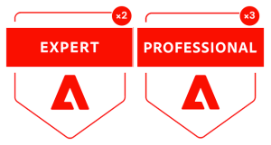 Best Website Development Company in India - Pin Blooms