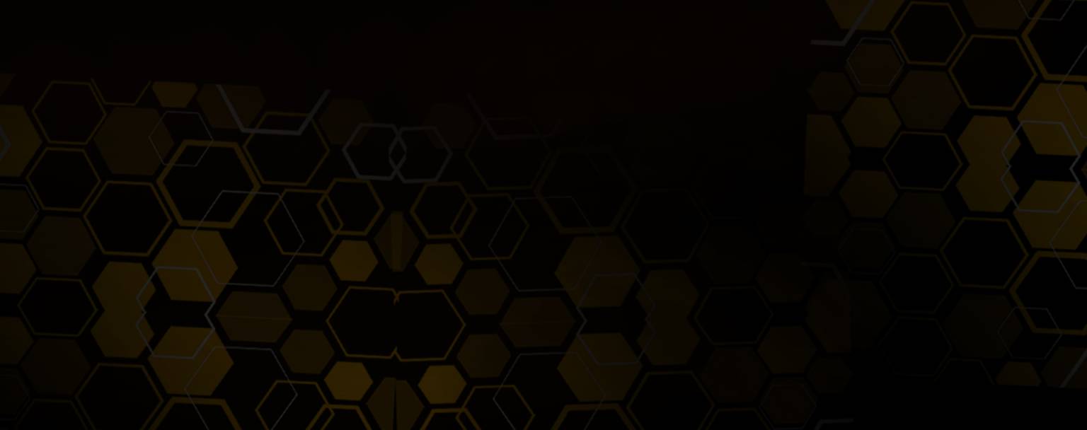 Best Website Development Company in India - Pin Blooms